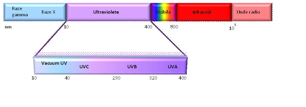 Dermatozele asociate expunerii la radiația ultravioletă