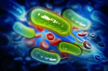 Actualități în tratamentul infecției cu Helicobacter pylori