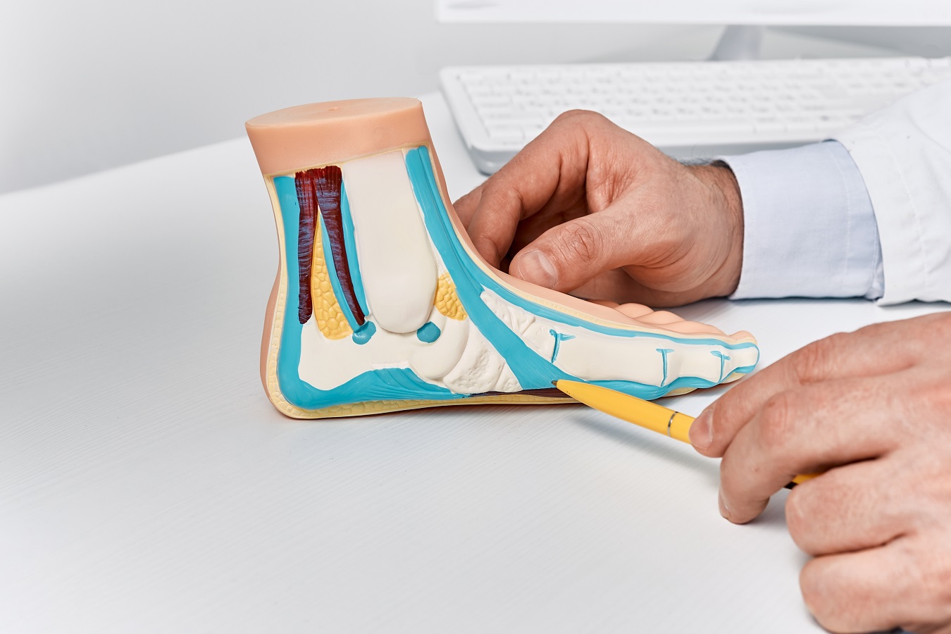 Platfus – tipuri, cauze și tratament - Revista Galenus